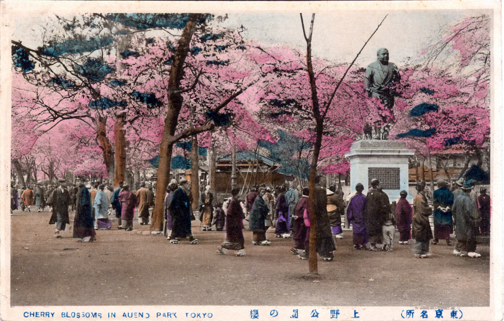 O-hanami (Cherry Blossoms Viewing). | Old Tokyo